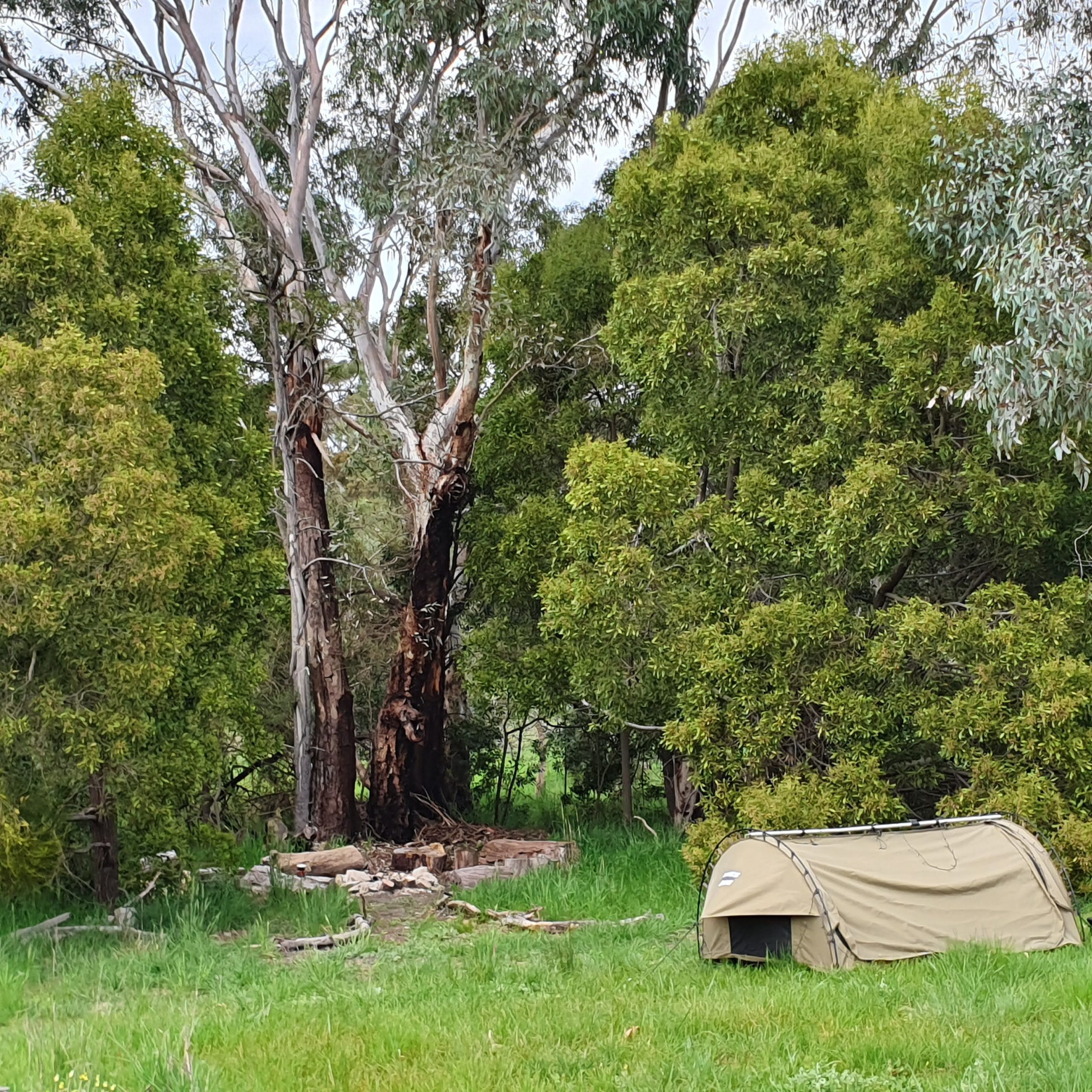 Stay - The Farm for Wellbeing