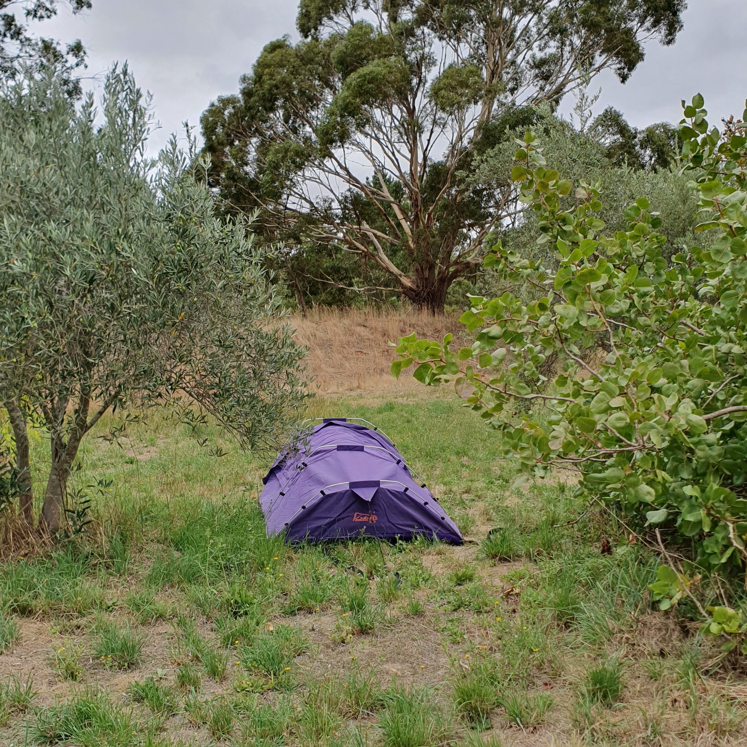 Stay - The Farm for Wellbeing