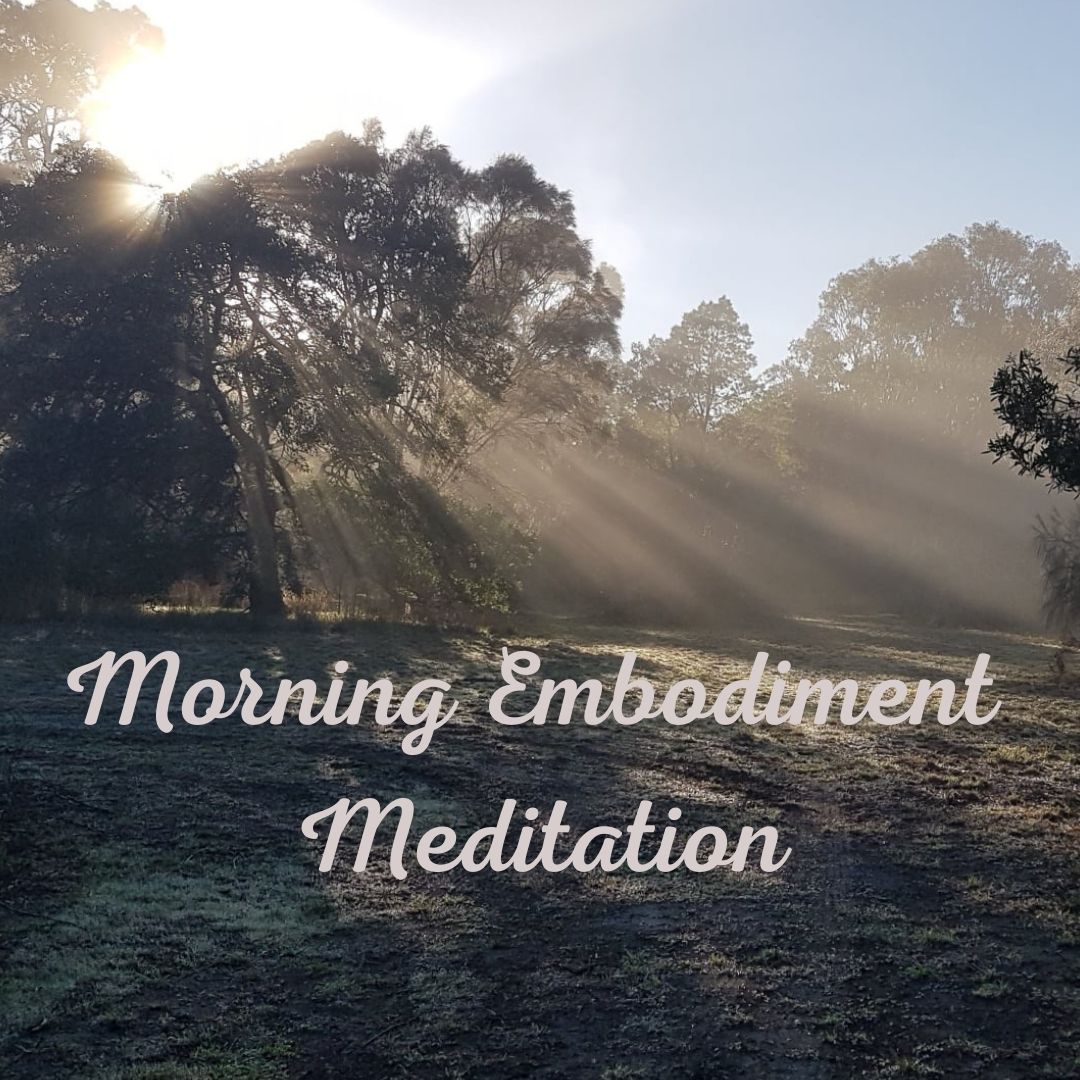Morning Embodiment Meditation - The Farm for Wellbeing